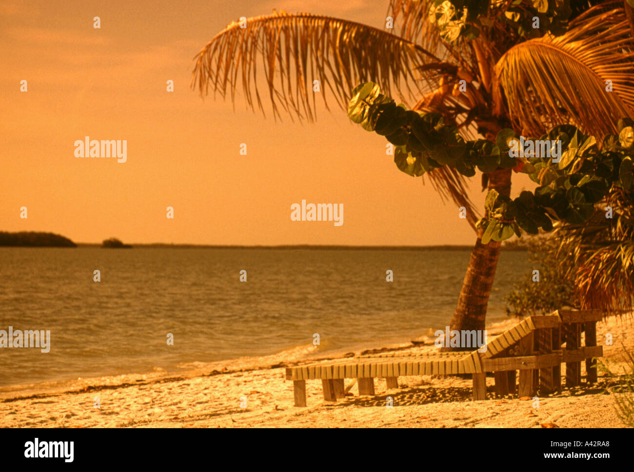 Rem island hi-res stock photography and images - Alamy