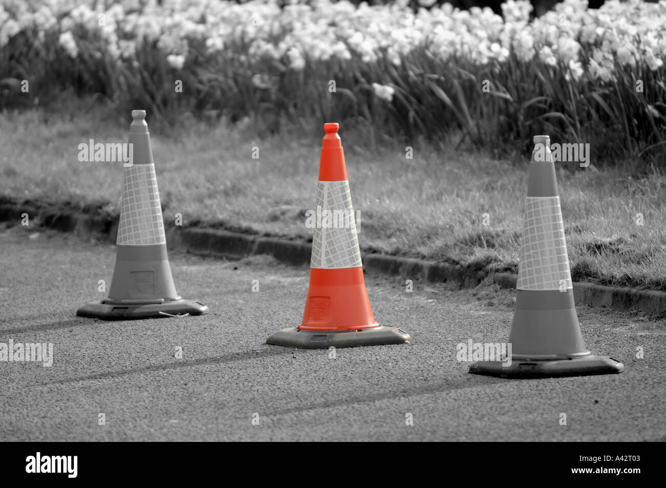 Red road traffic cones lined up along the side of a road Stock Photo ...
