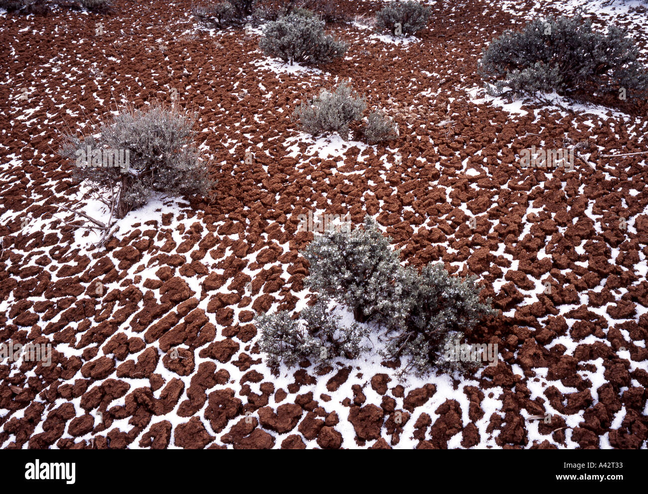 A snow storm fills the cracks in the ground in Canyon de Chelly forming ...