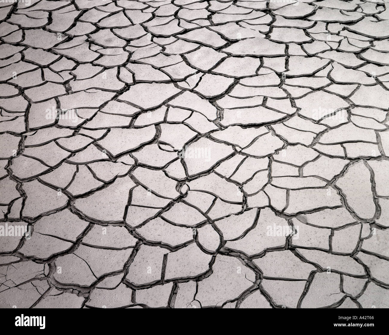 Dry cracked ground of Death Valley California Stock Photo - Alamy