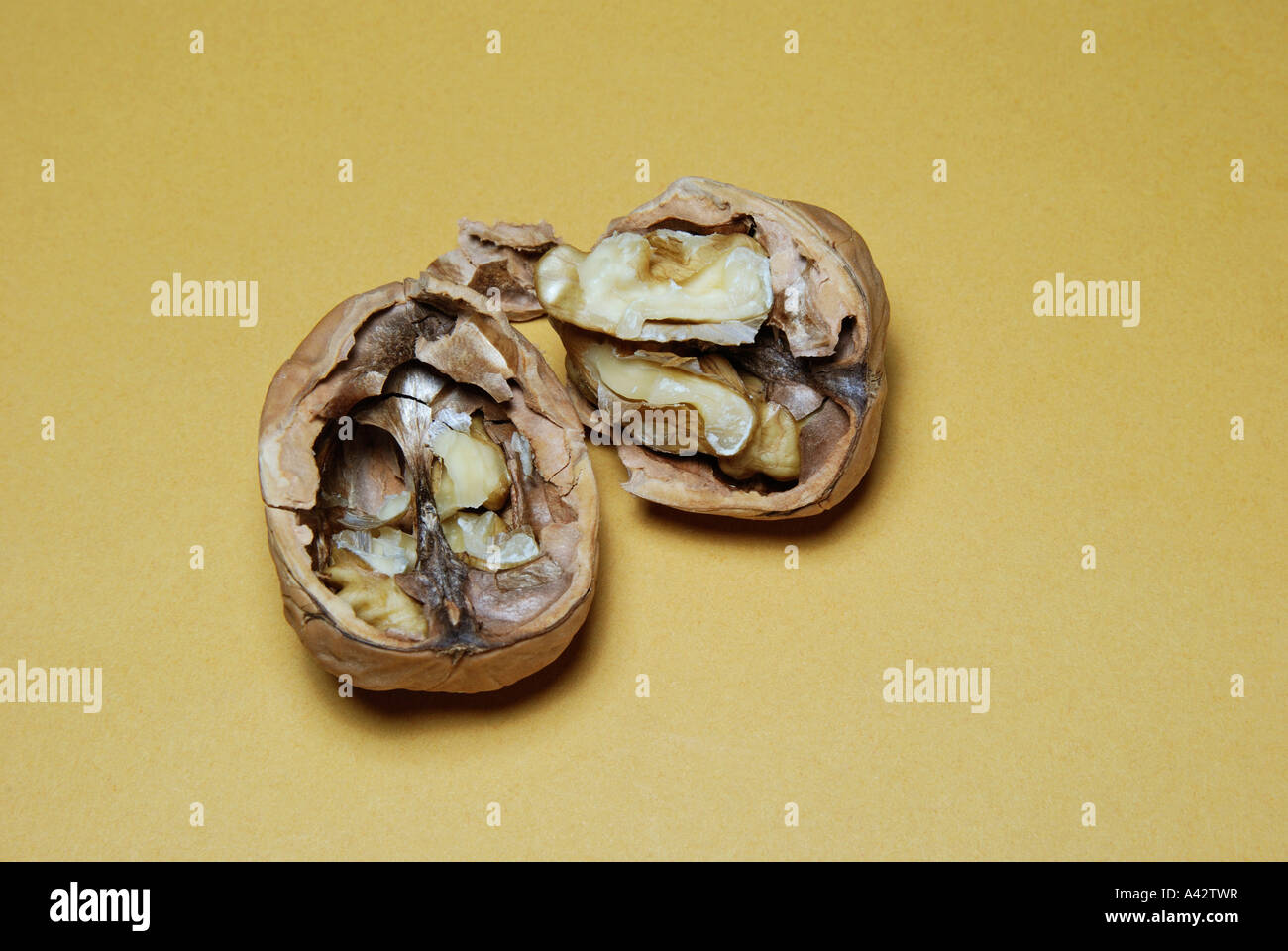 Walnut inside hi-res stock photography and images - Alamy