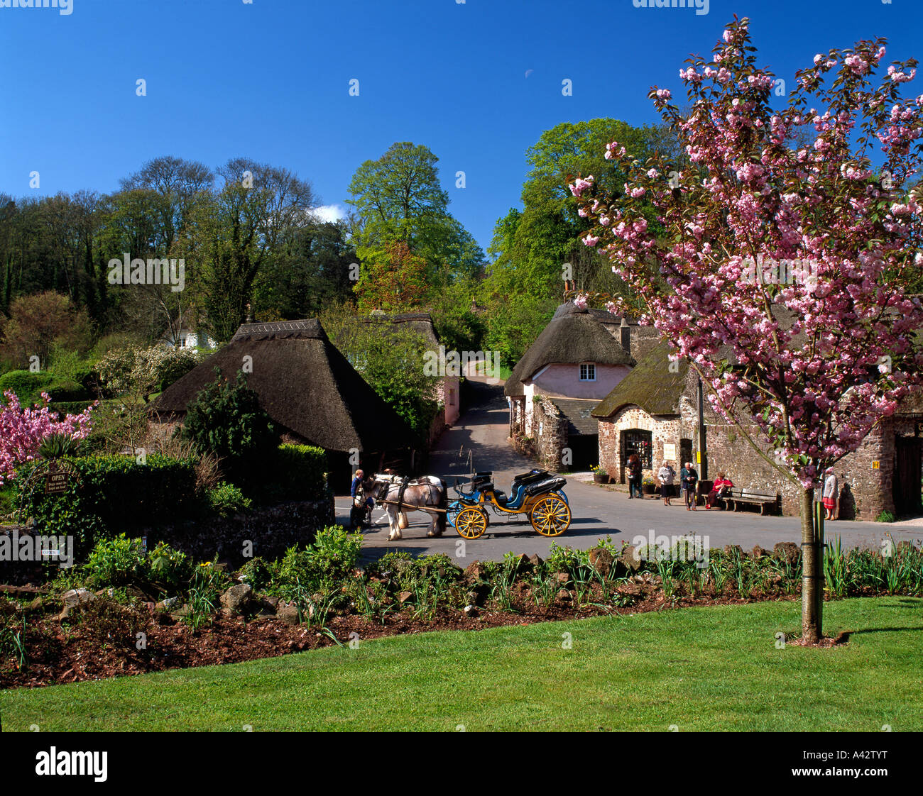 Cockington Devon England UK Stock Photo - Alamy
