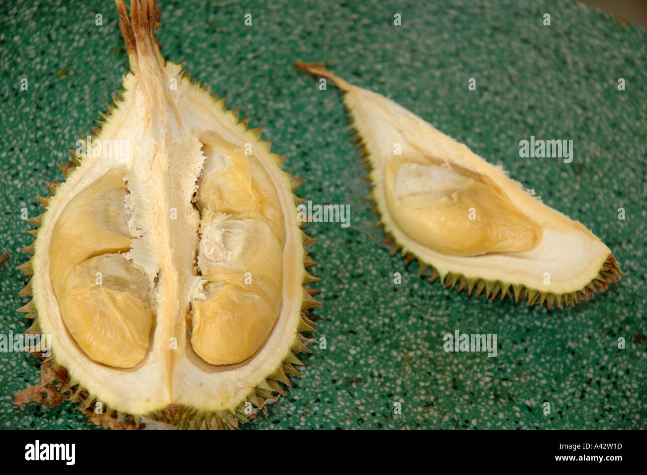 Durian the foul smelling tasty fruit from Asia Vietnam Viet Nam cut ...