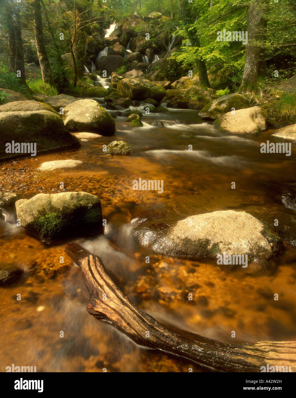 Becky Falls Dartmoor Devon England Stock Photo - Alamy