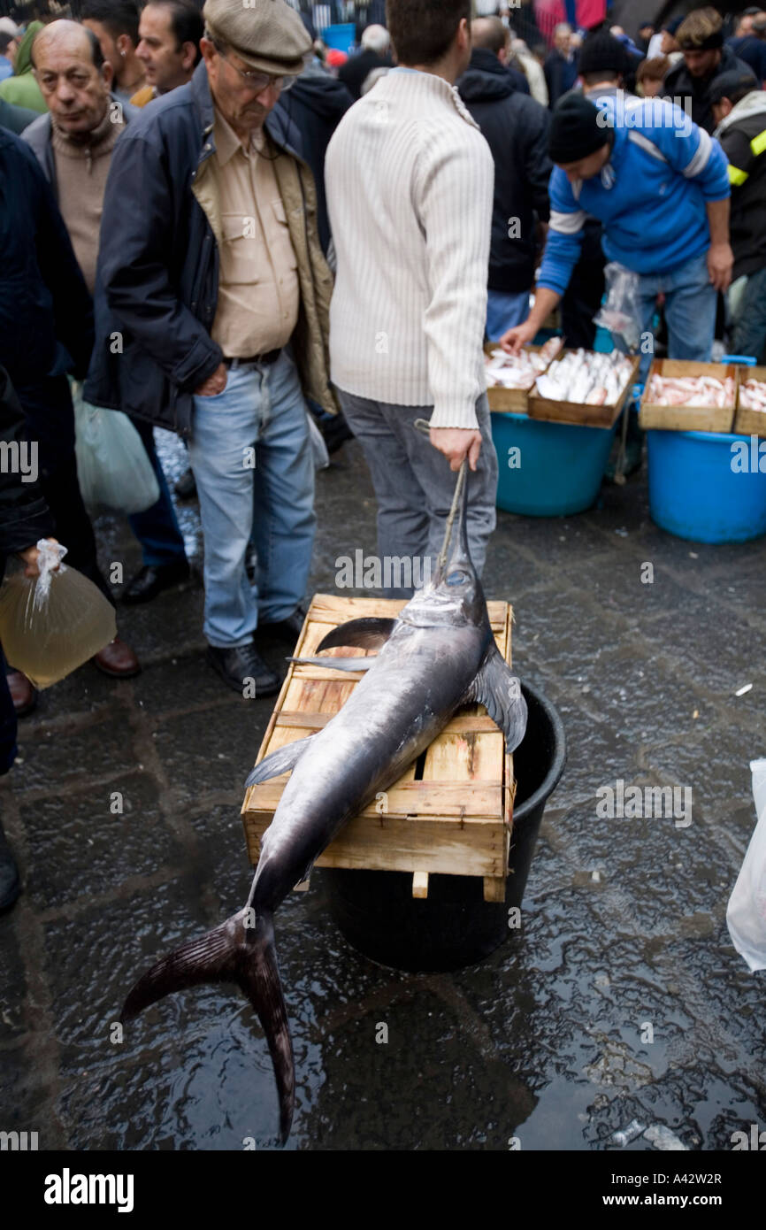 Catania fish market Sicily Italy Stock Photo - Alamy