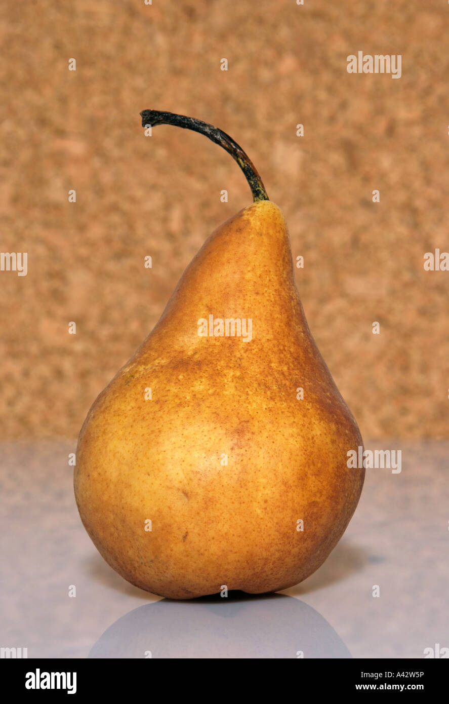 studio shot of a pear Stock Photo - Alamy