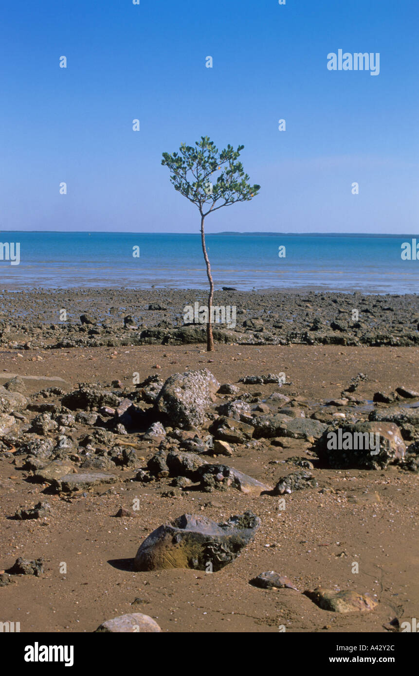Australia lameroo beach hi-res stock photography and images - Alamy