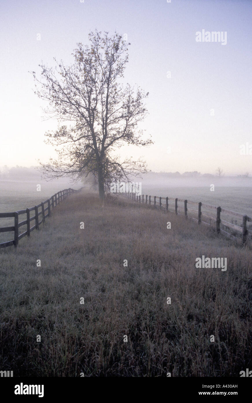 Two fences hi-res stock photography and images - Alamy