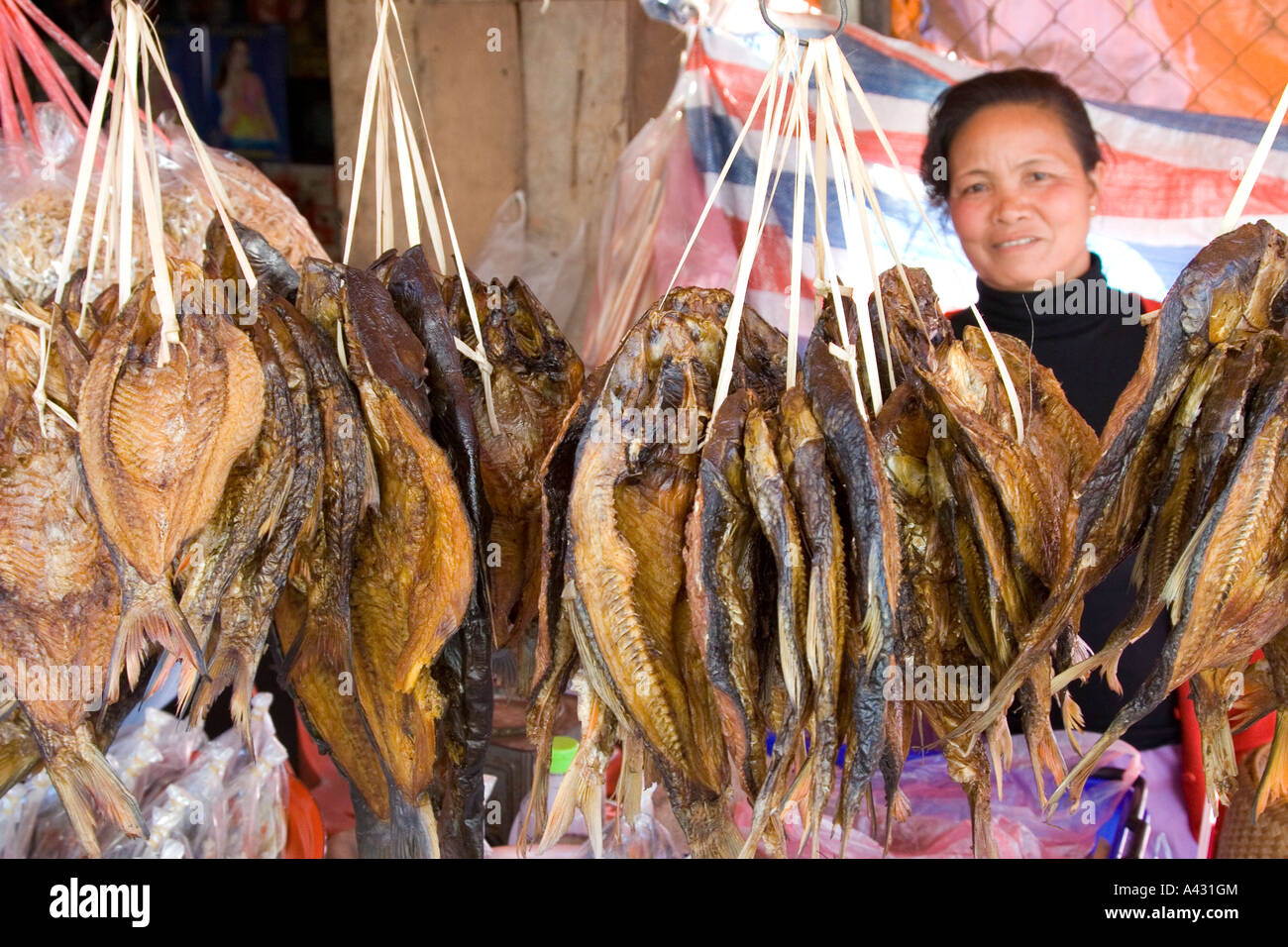 Woman Selling Dried Fish Vientiane Laos Stock Photo - Alamy