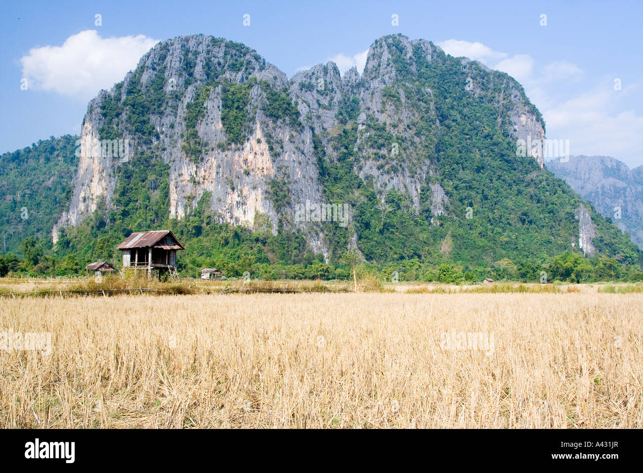 Rice Field and Limestone Karst Mountains Vang Vieng Laos Stock Photo ...