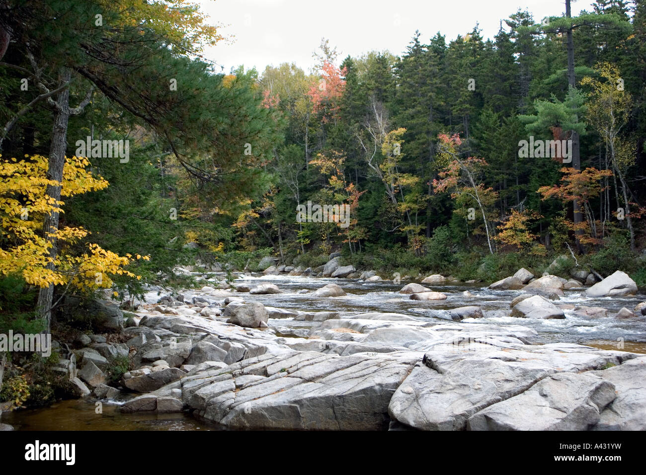 Fall in New England Stock Photo - Alamy