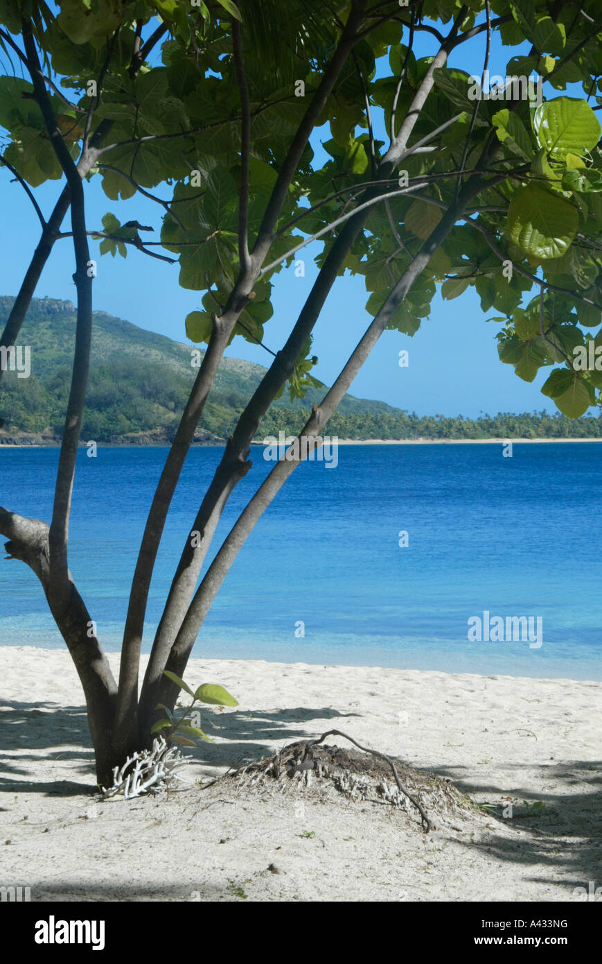 Yasawa Islands, Fiji Stock Photo - Alamy