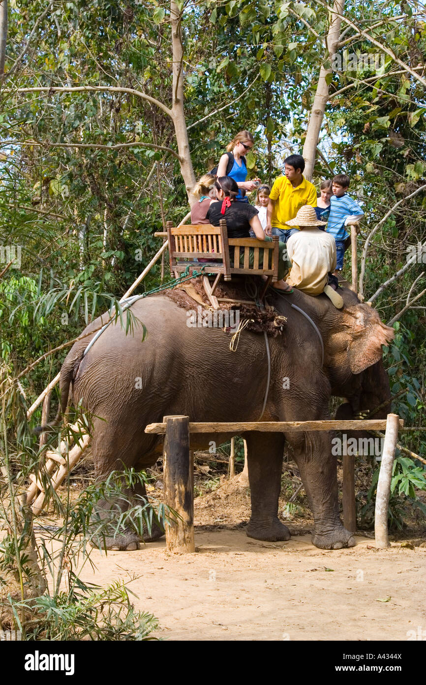 Tourists Mounting an Elephant Luang Prabang Laos Stock Photo - Alamy