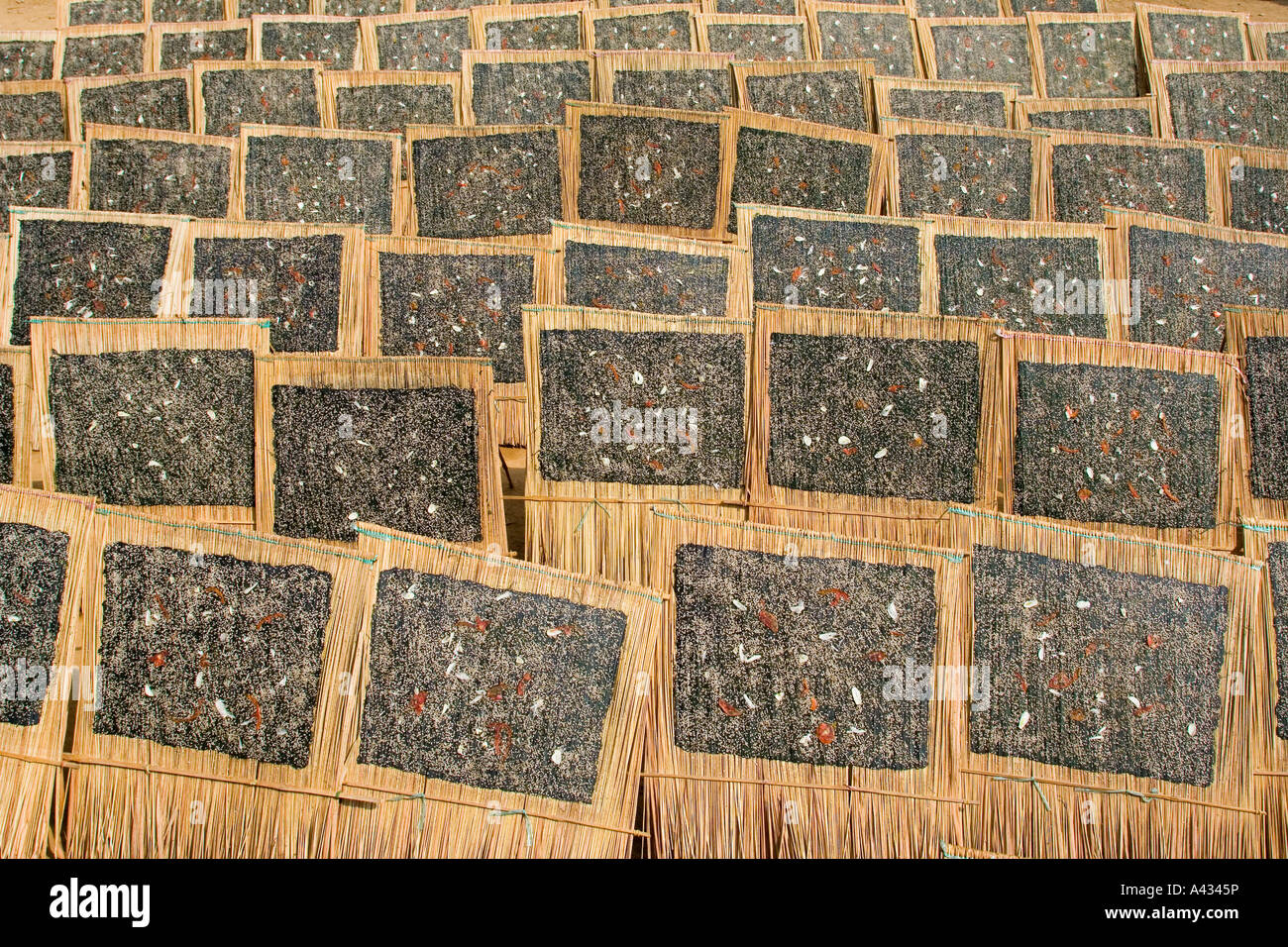 Racks of Drying River Seaweed Ban Phanom Luang Prabang Laos Stock Photo ...
