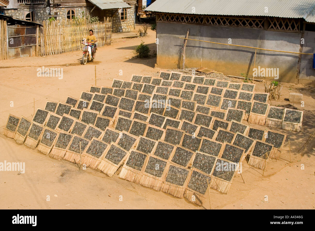 Racks of Drying River Seaweed Ban Phanom Luang Prabang Laos Stock Photo ...