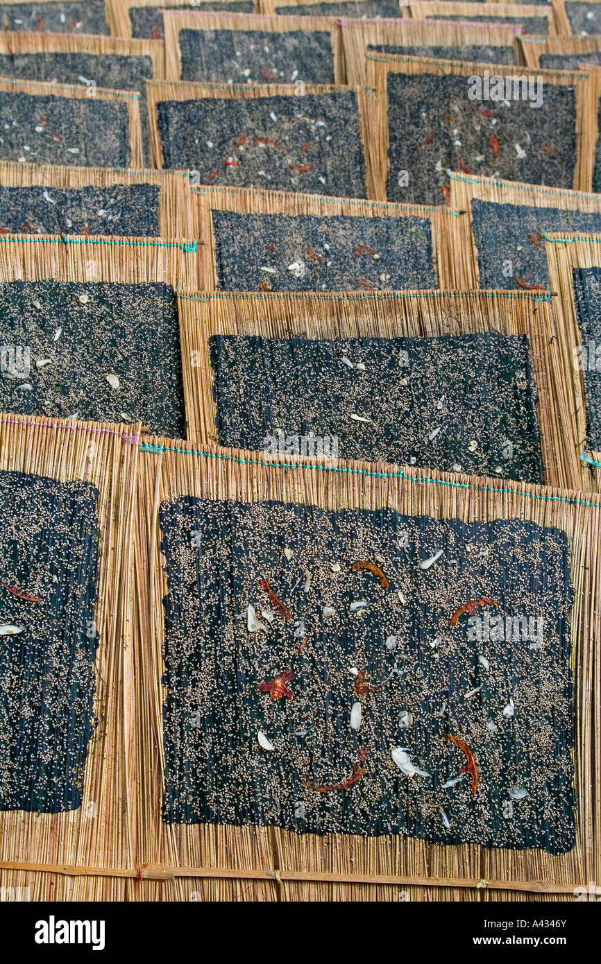 Racks of Drying River Seaweed Ban Phanom Luang Prabang Laos Stock Photo ...