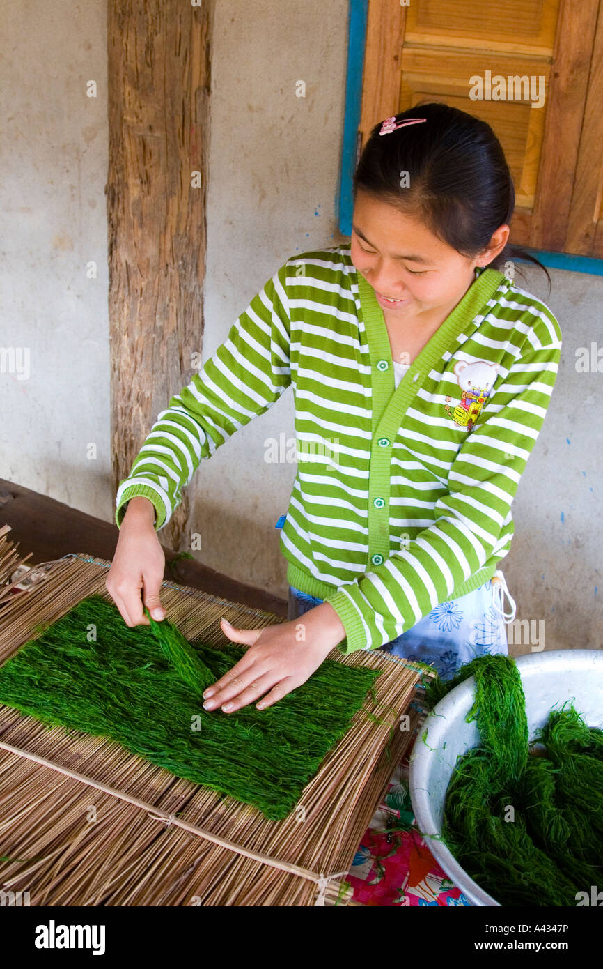 Placing River Seaweed for drying Ban Phanom Luang Prabang Laos Stock ...