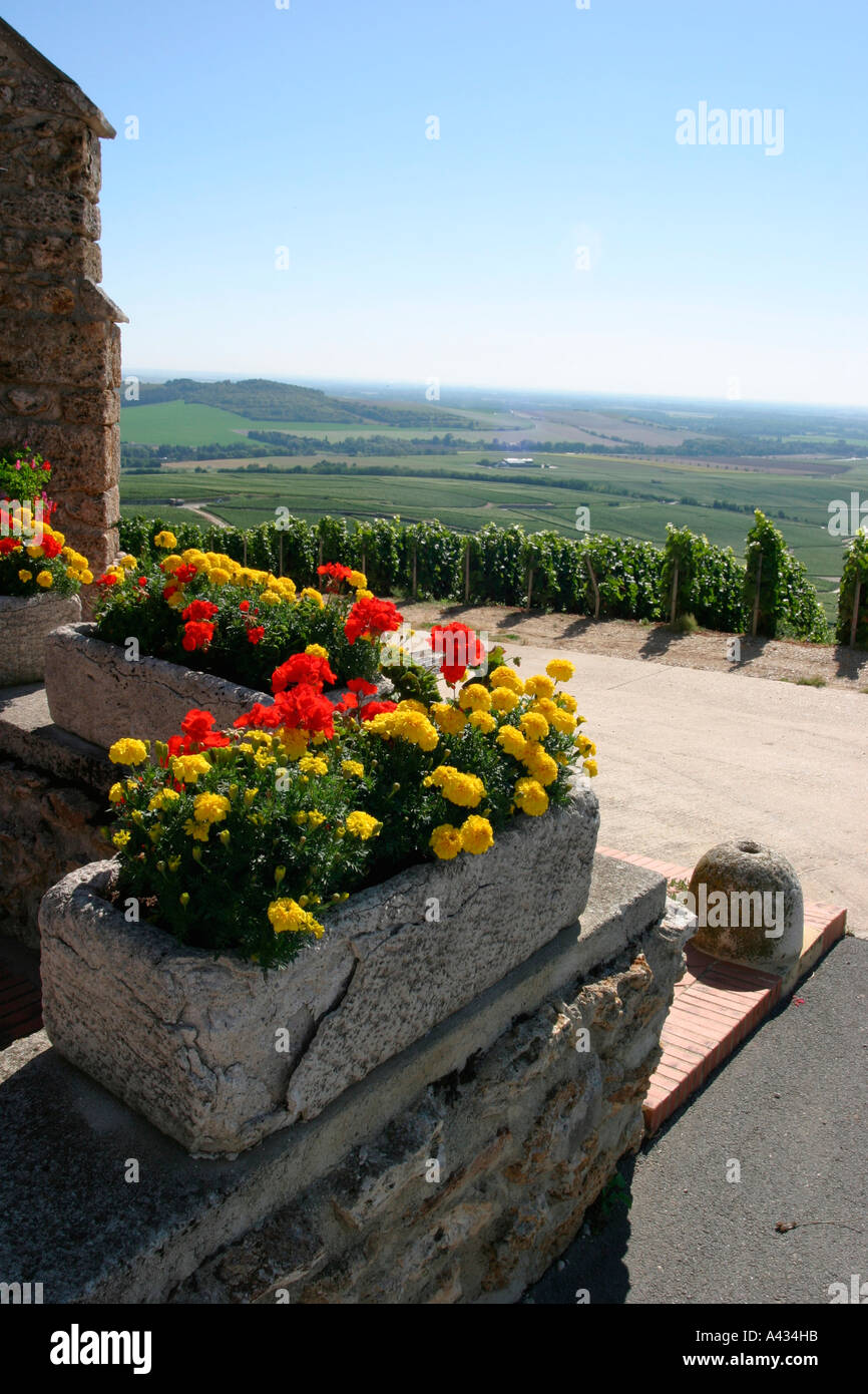 Champagne village of Mutigny, France Stock Photo - Alamy