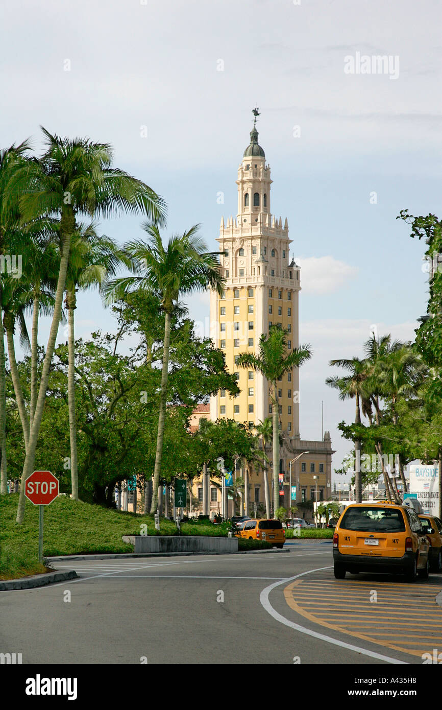 Miami Downtown South Sunshine State Florida USA palm tree modern office ...