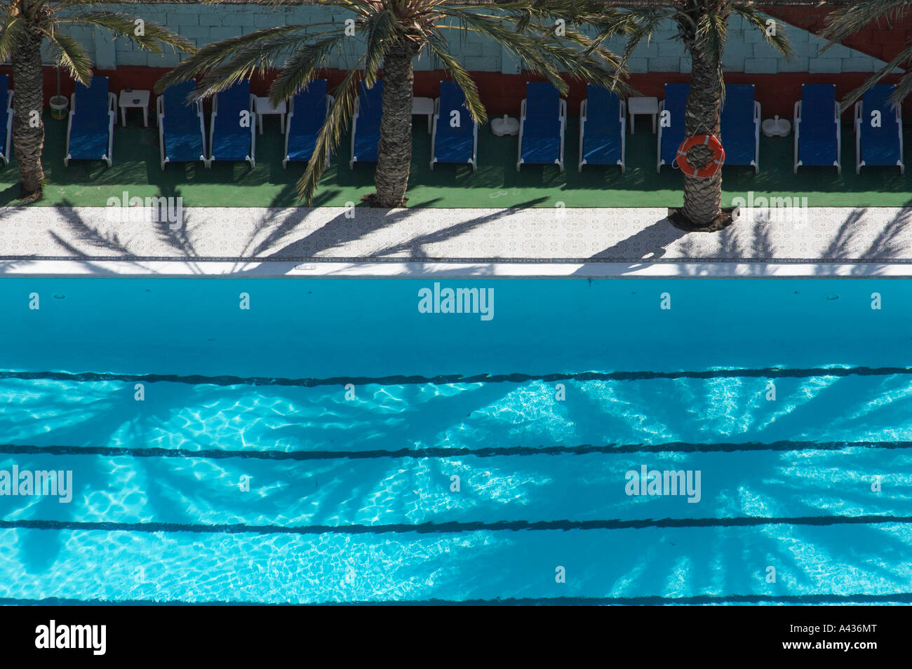 Aerial view of outdoor swimming pool reflecting palm trees Stock Photo ...