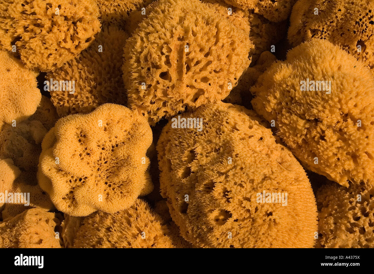 Natural sponges at shop Rhodes Greece Stock Photo - Alamy