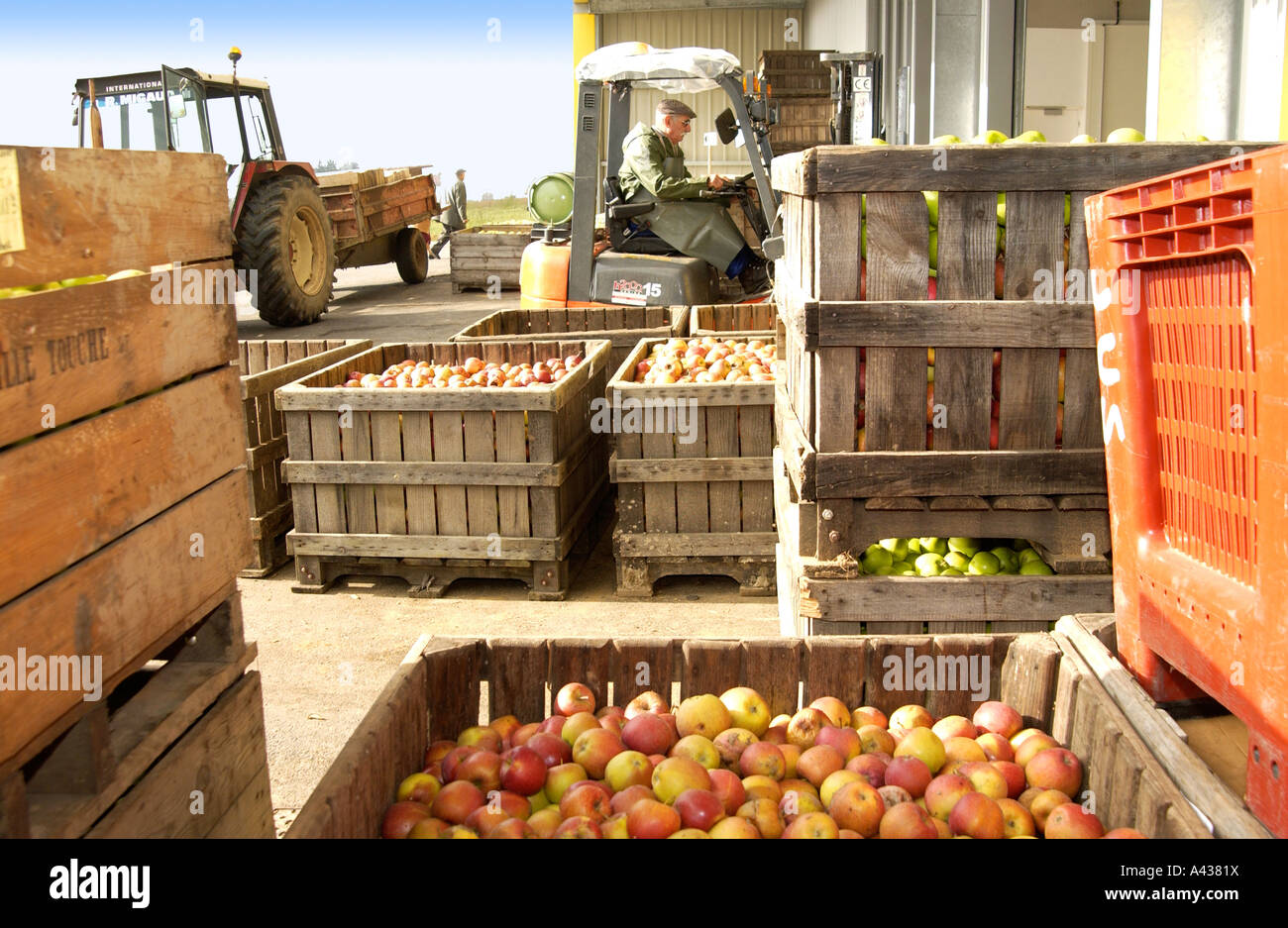 Apple factory exterior hi-res stock photography and images - Alamy