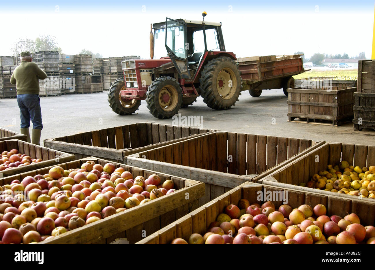Apple drink processing hi-res stock photography and images - Alamy