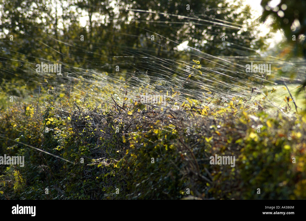 Blown highlight hi-res stock photography and images - Alamy