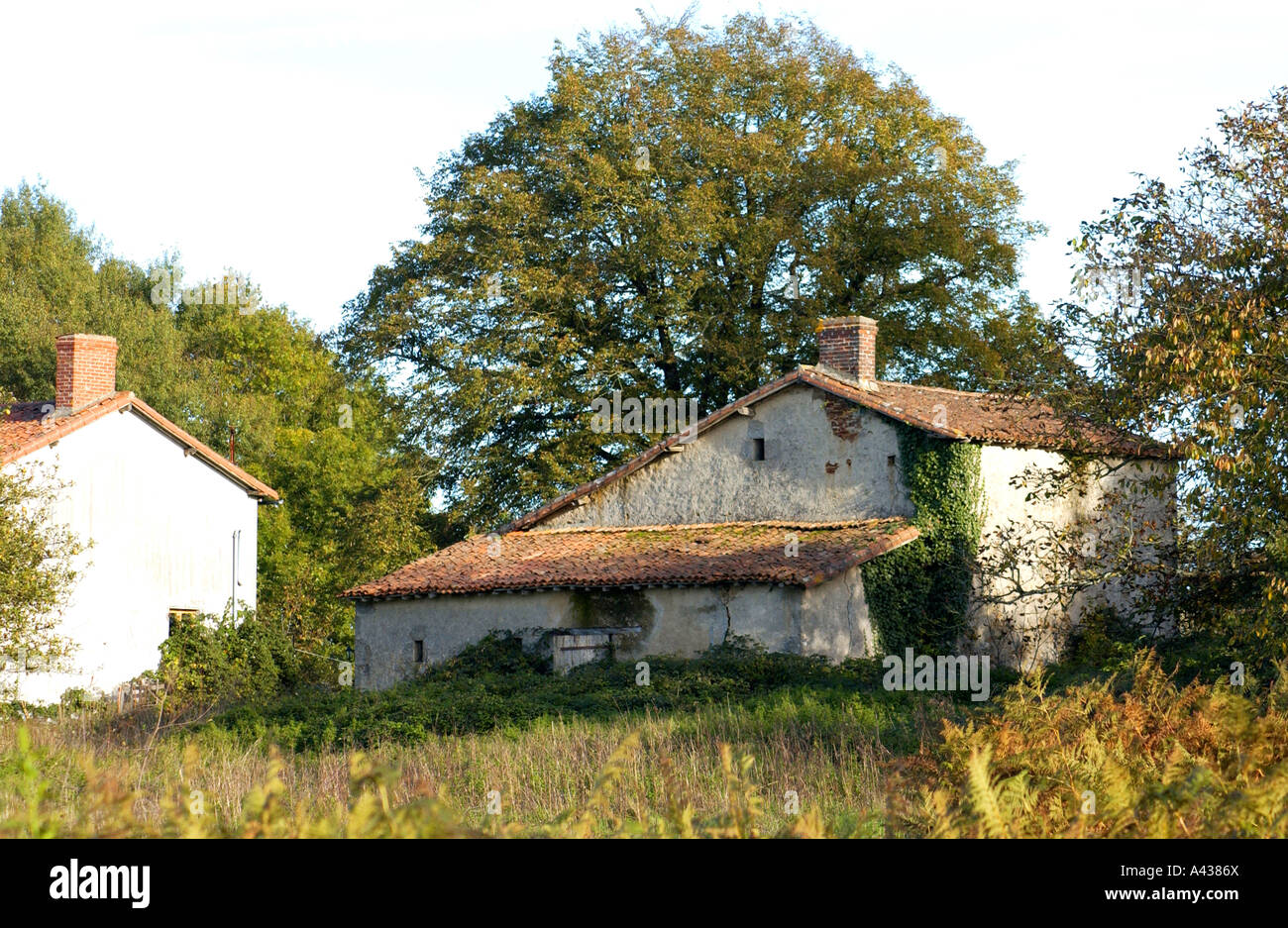 Old farmhouse in french hi-res stock photography and images - Alamy
