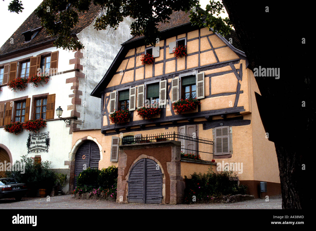Riquewihr France French Alsace Riesling wine Stock Photo - Alamy