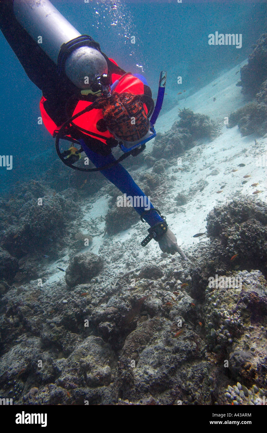 Reef points hi-res stock photography and images - Alamy