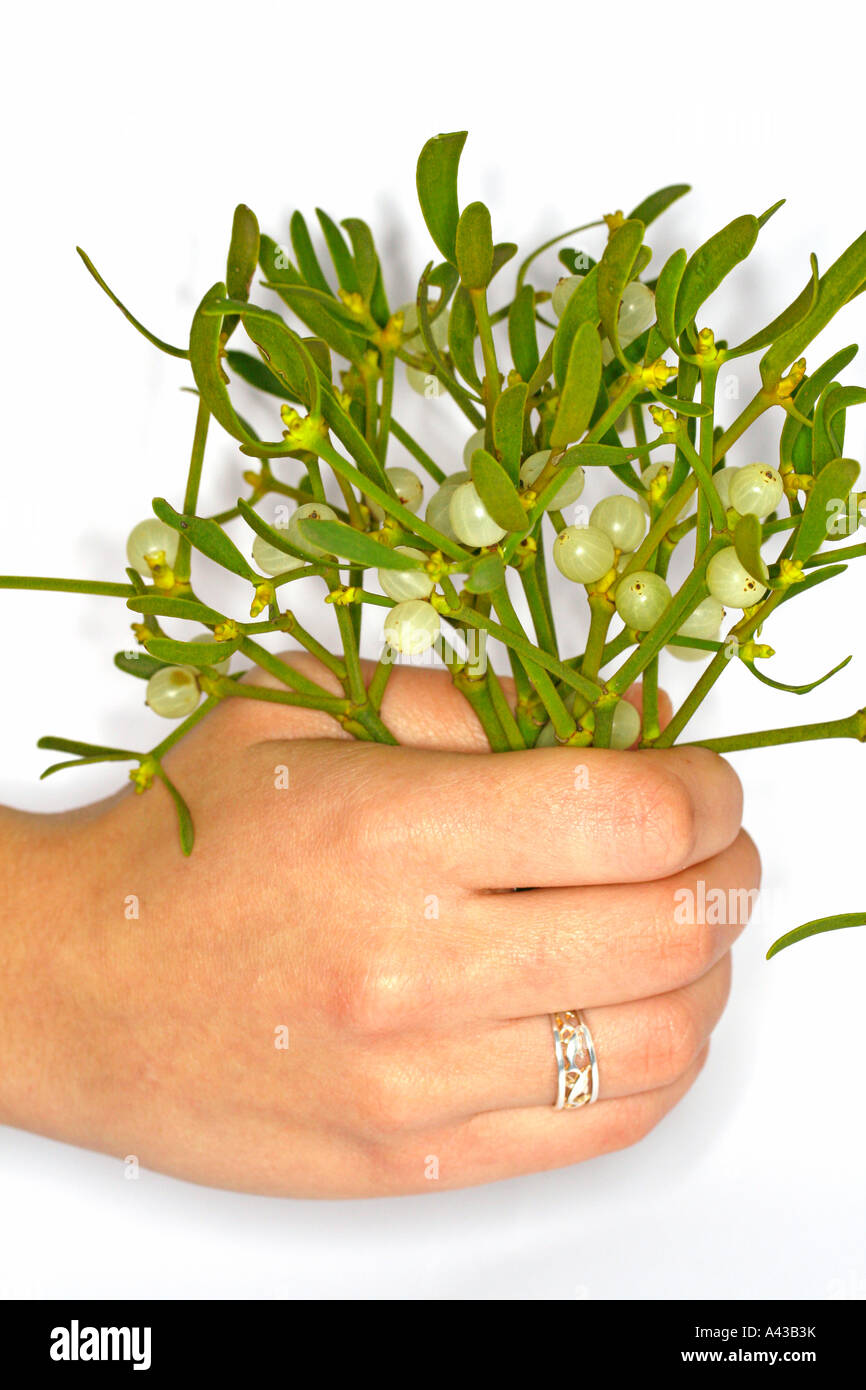 Mistletoe hands hi-res stock photography and images - Alamy