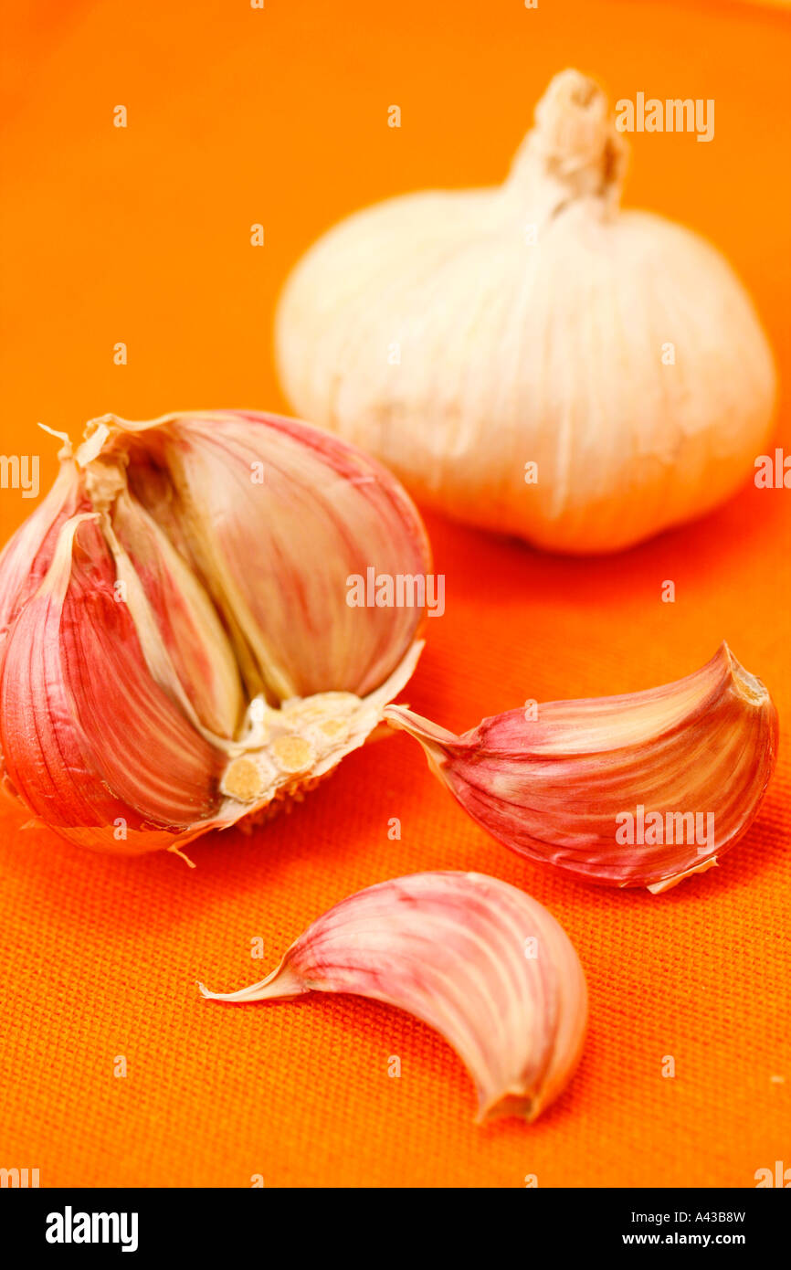 Vertical shot garlic bulb hi-res stock photography and images - Alamy