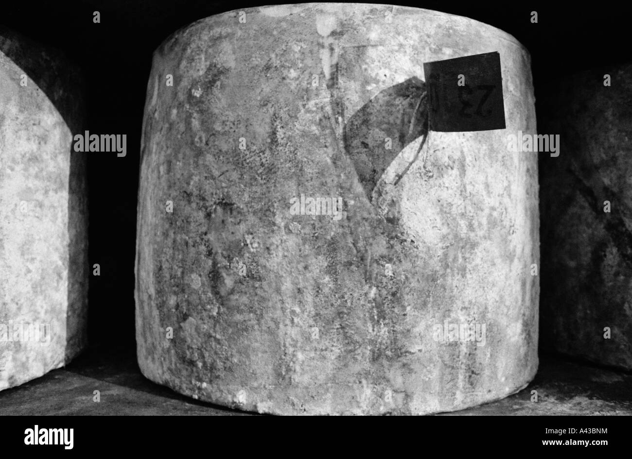 Black and white photograph of a cheddar cheese round hi-res stock ...