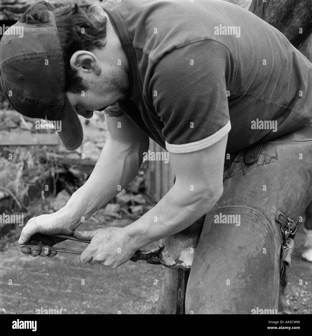 Traditional farrier Black and White Stock Photos & Images - Alamy