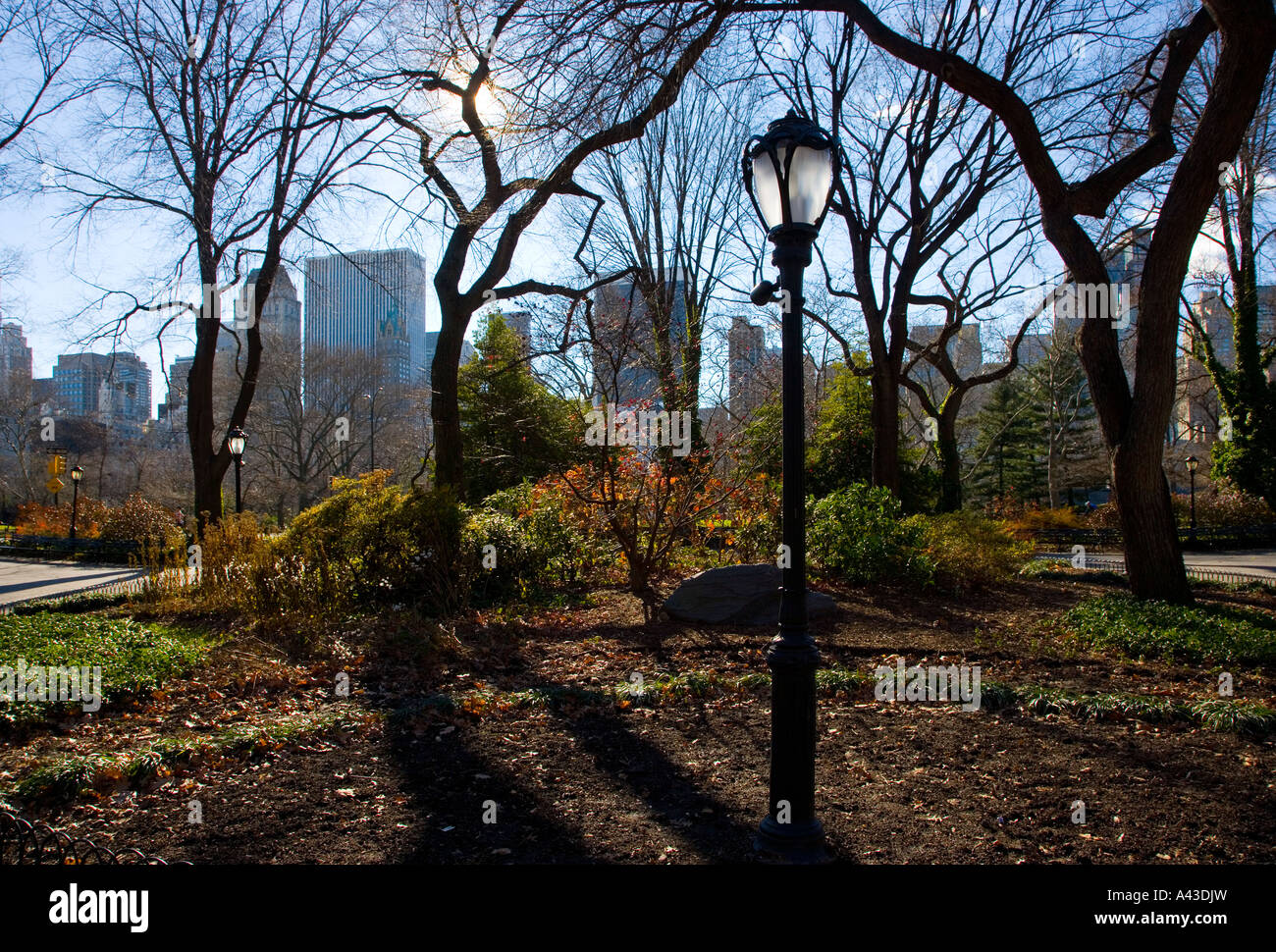view of manhattan new york from central park featuring lamp posts trees ...