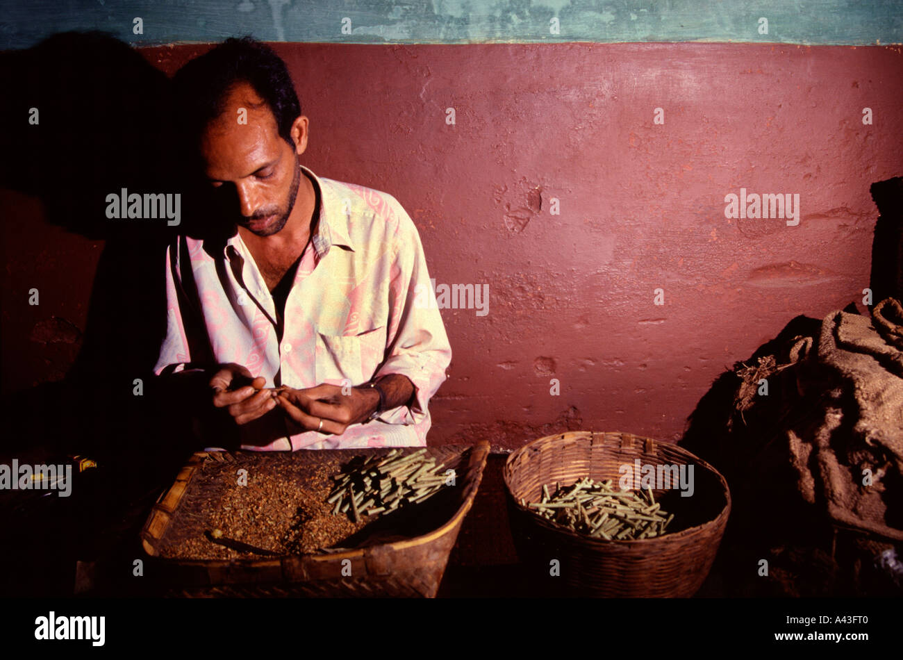 A worker preparing a bidi also known as biri, bidi, beadi, or beedie at ...