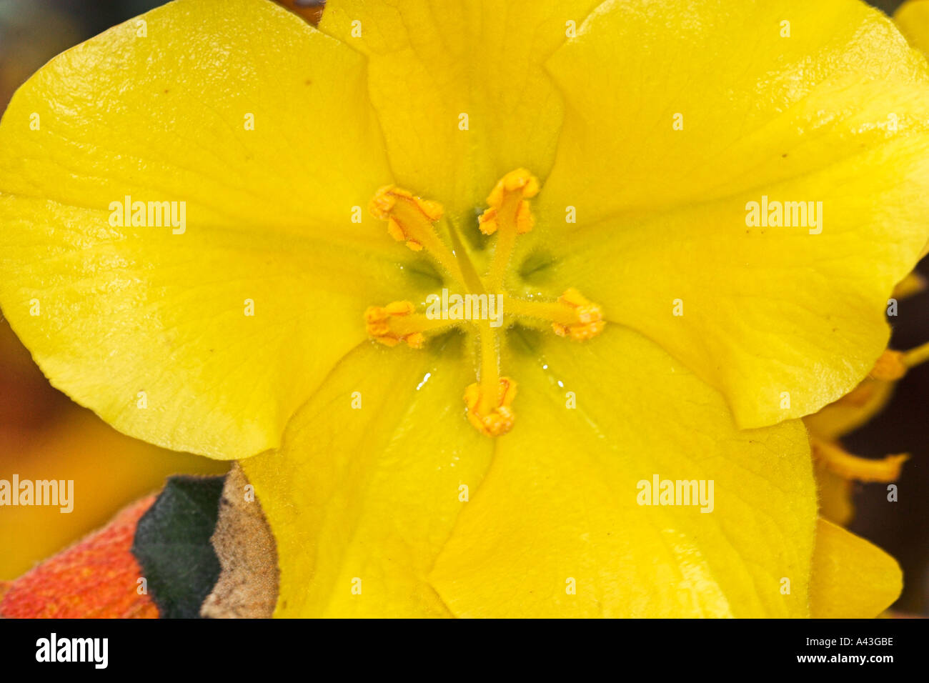 Colourful flannel hi-res stock photography and images - Alamy