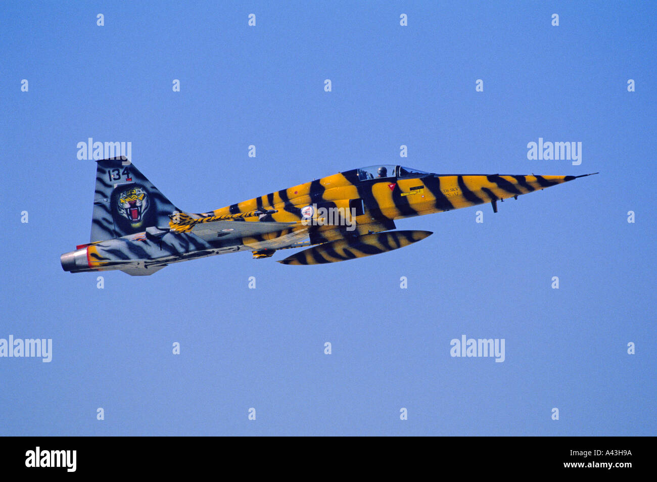 Royal Norwegian Air Force Northrop F-5 Tiger fighter aircraft Stock ...