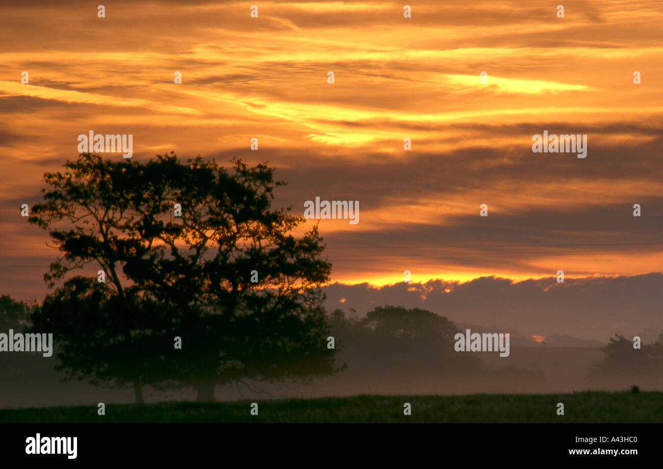 Dawn over fields in Hassocks west Sussex England Stock Photo - Alamy