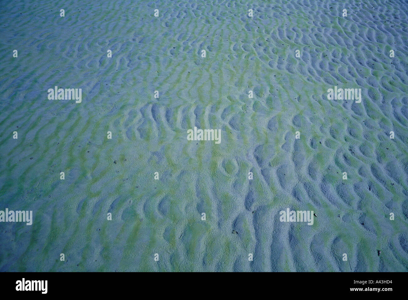 Sand patterns at low tide Stock Photo - Alamy