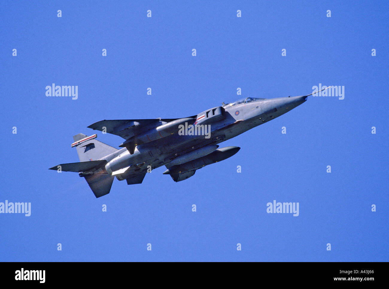Jaguar gr3 hi-res stock photography and images - Alamy