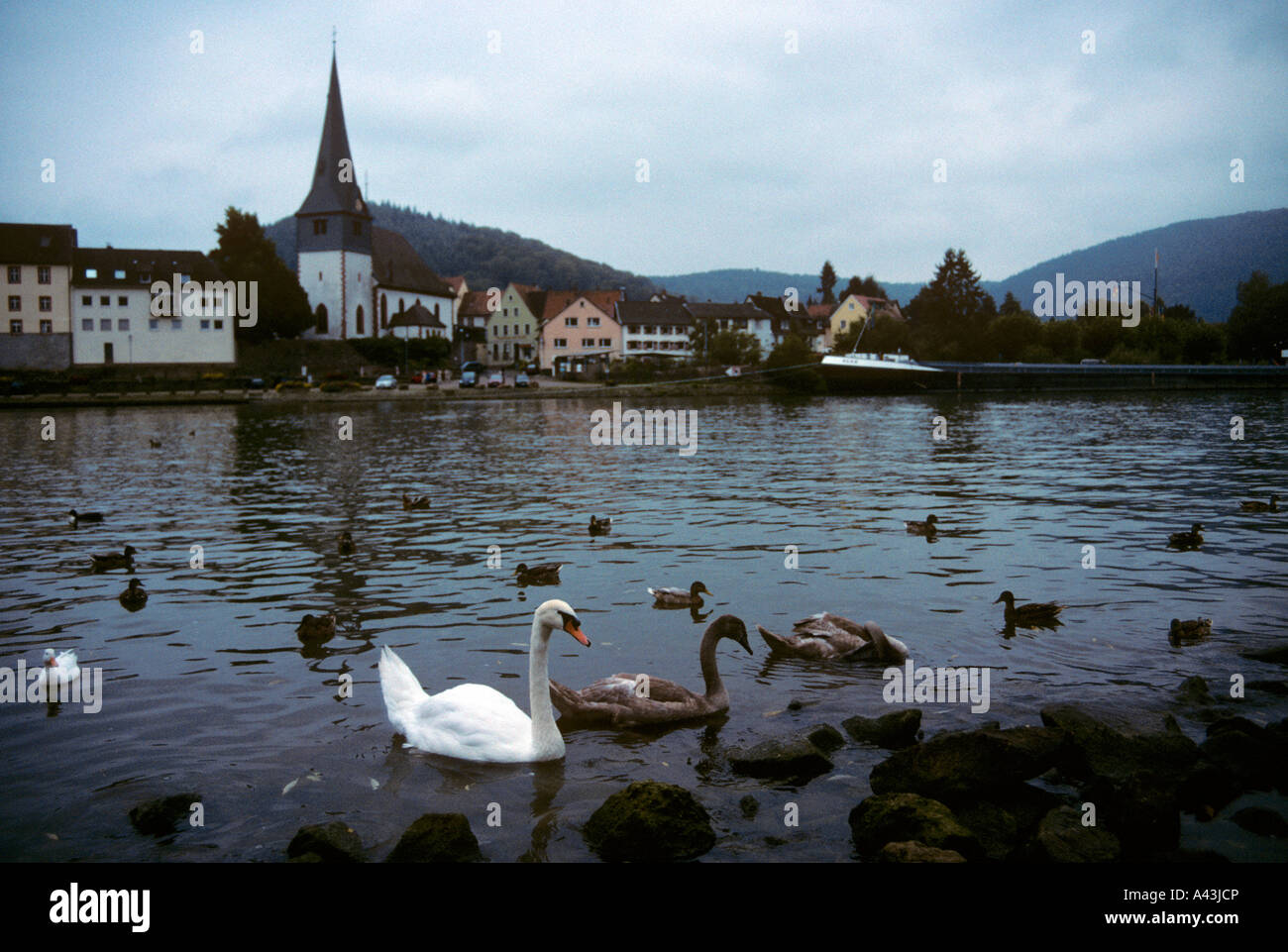 Neckargemund germany hi-res stock photography and images - Alamy