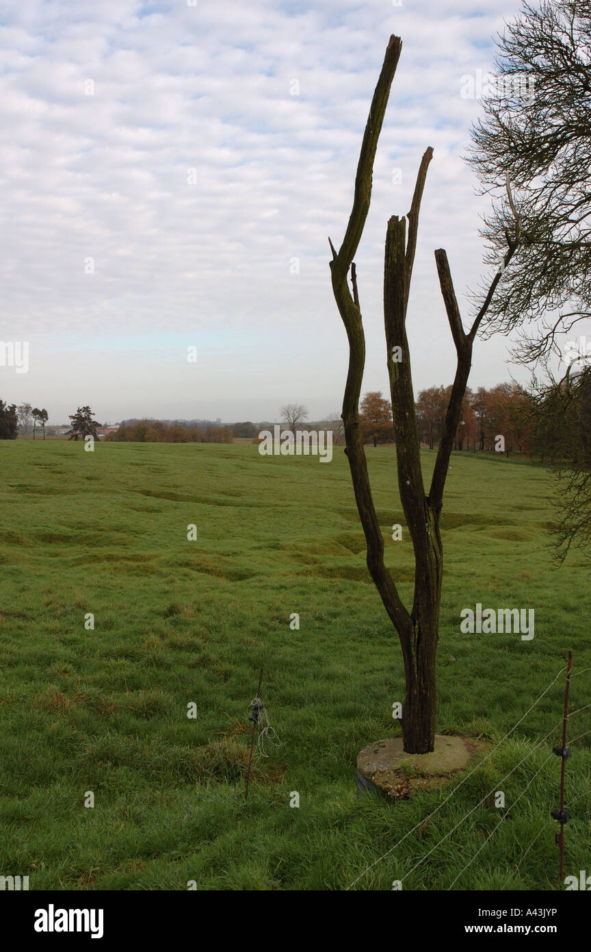 Beaumont hamel 1916 High Resolution Stock Photography and Images - Alamy