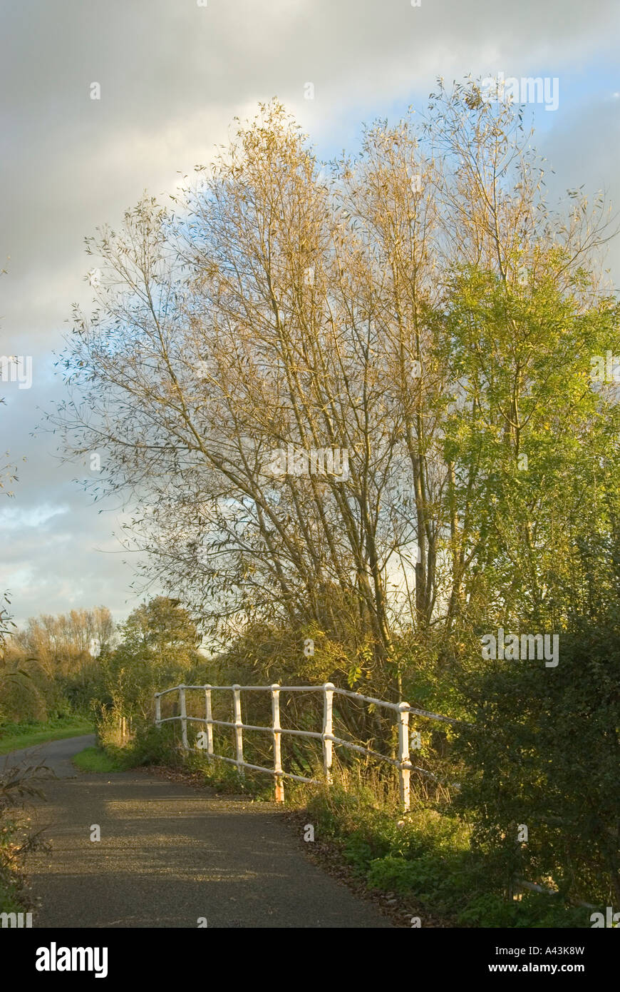 Binsey in oxfordshire hi-res stock photography and images - Alamy