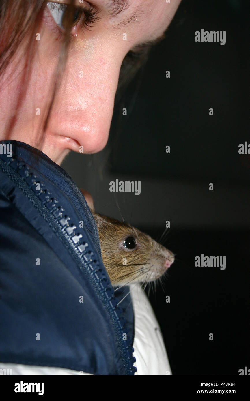 Pet rat teenager hi-res stock photography and images - Alamy