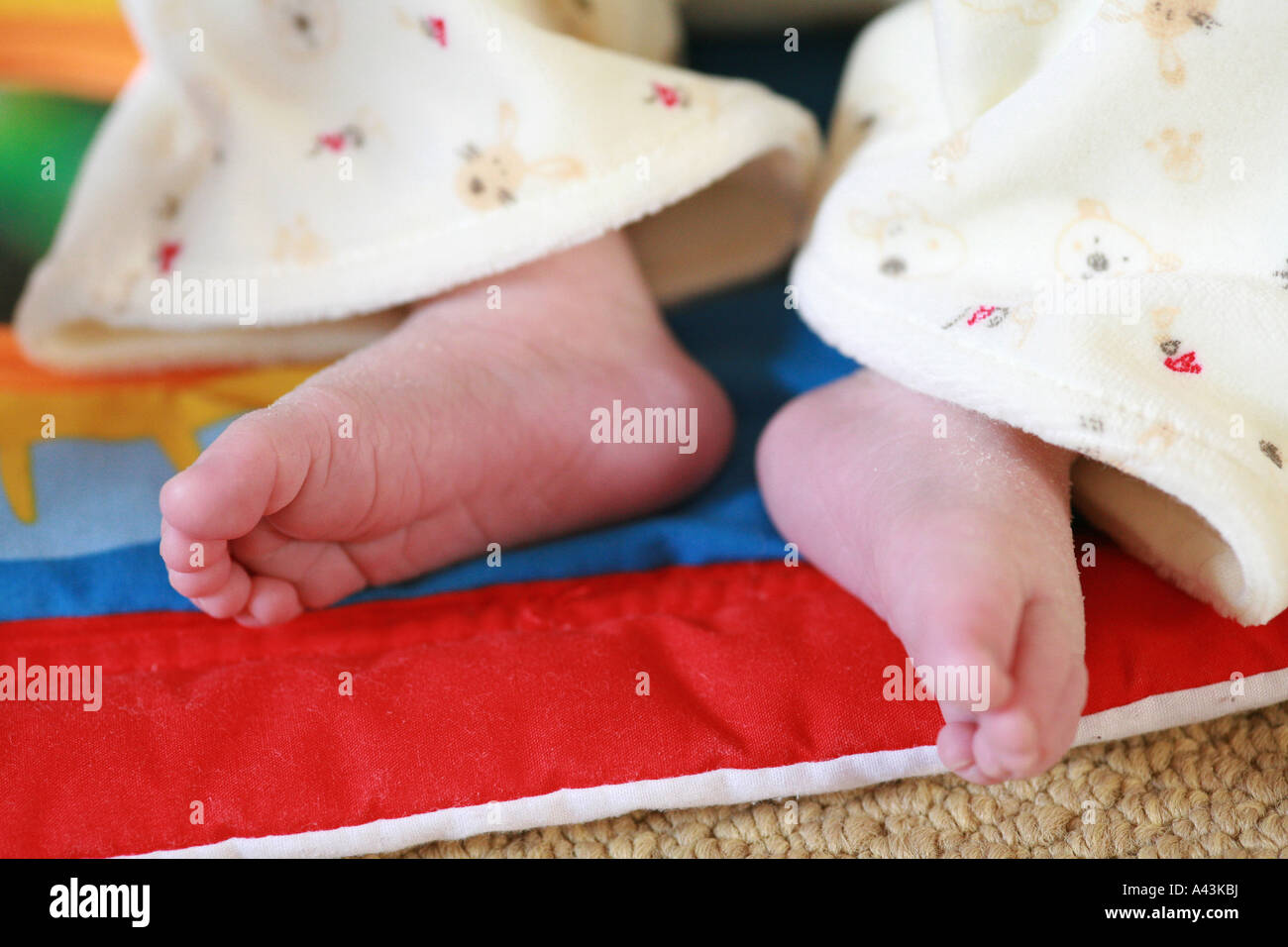 3 weeks old newborn baby hi-res stock photography and images - Alamy