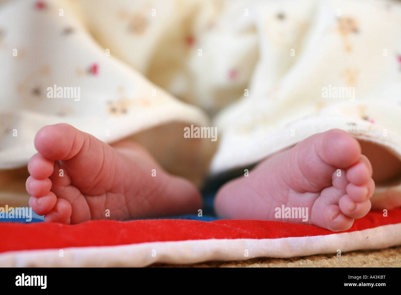 3 weeks old newborn baby hi-res stock photography and images - Alamy