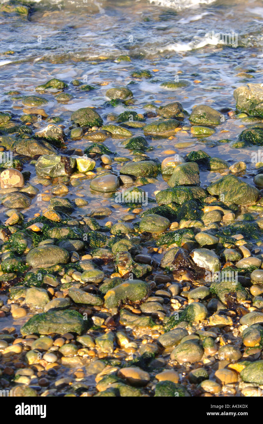 shingle on the beach at Sheerness, Kent Stock Photo - Alamy