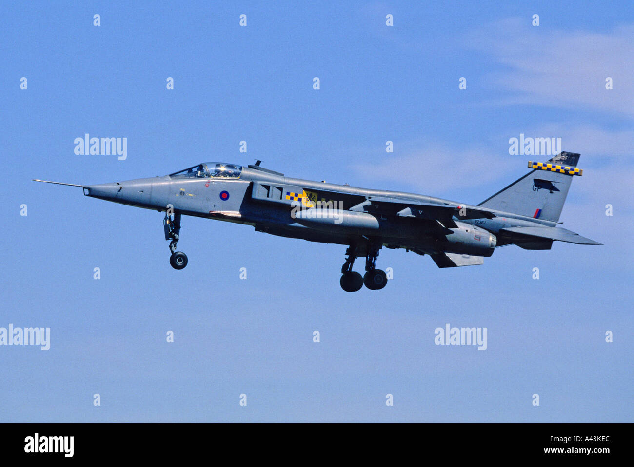 RAF Jaguar GR3 ground attack aircraft landing Stock Photo - Alamy